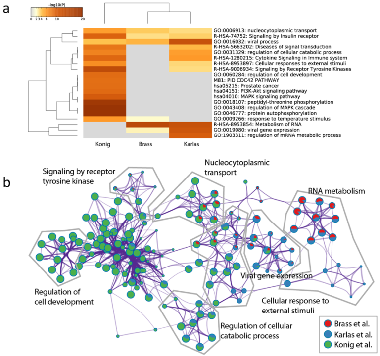 Metascape is a gene list analysis website designed for biologists ...