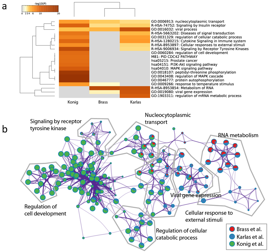 Metascape Blog | A Gene Annotation & Analysis Resource