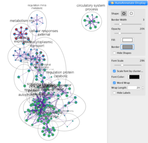 Visualize Networks Online and Offline | Metascape Blog