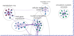 Metascape Blog | A Gene Annotation & Analysis Resource