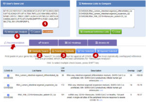 Metascape Blog | A Gene Annotation & Analysis Resource