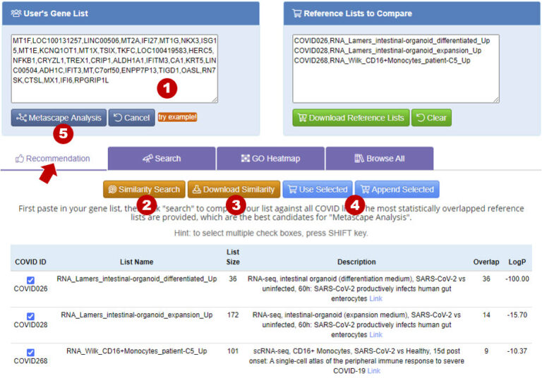 Metascape Blog | A Gene Annotation & Analysis Resource