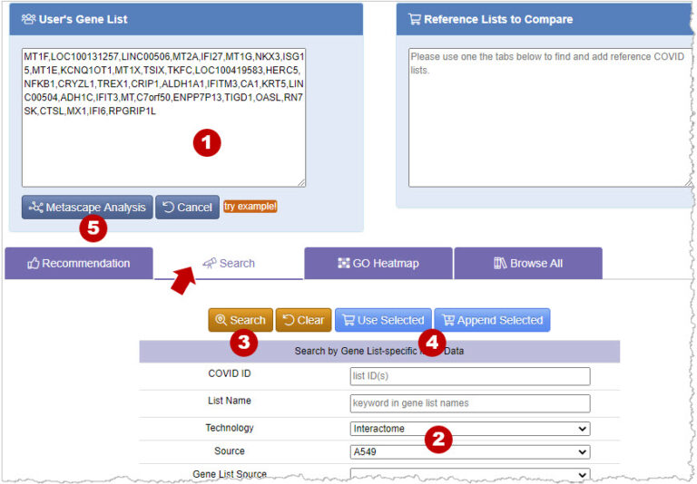 Metascape Blog | A Gene Annotation & Analysis Resource